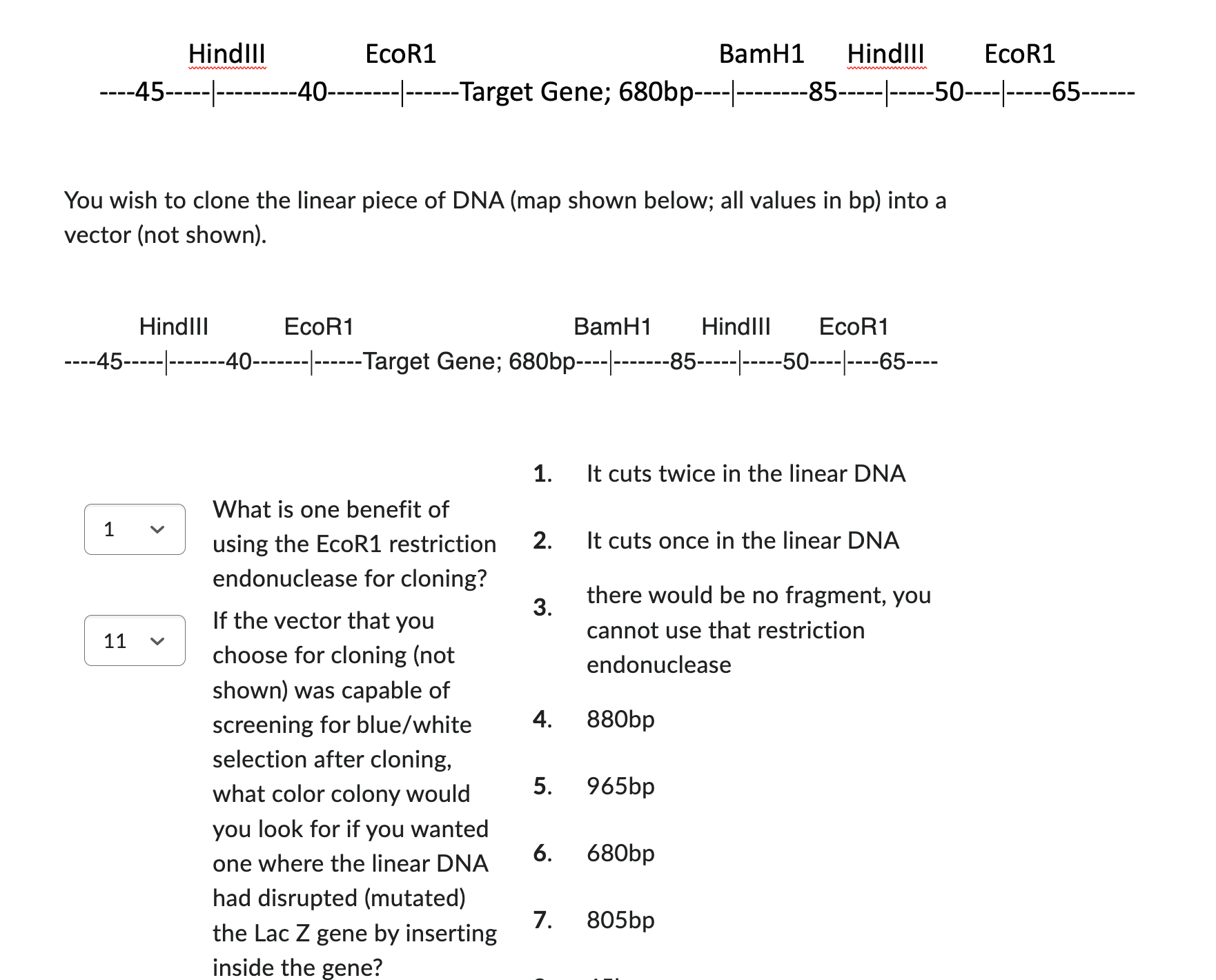 Solved You wish to clone the linear piece of DNA (map shown | Chegg.com