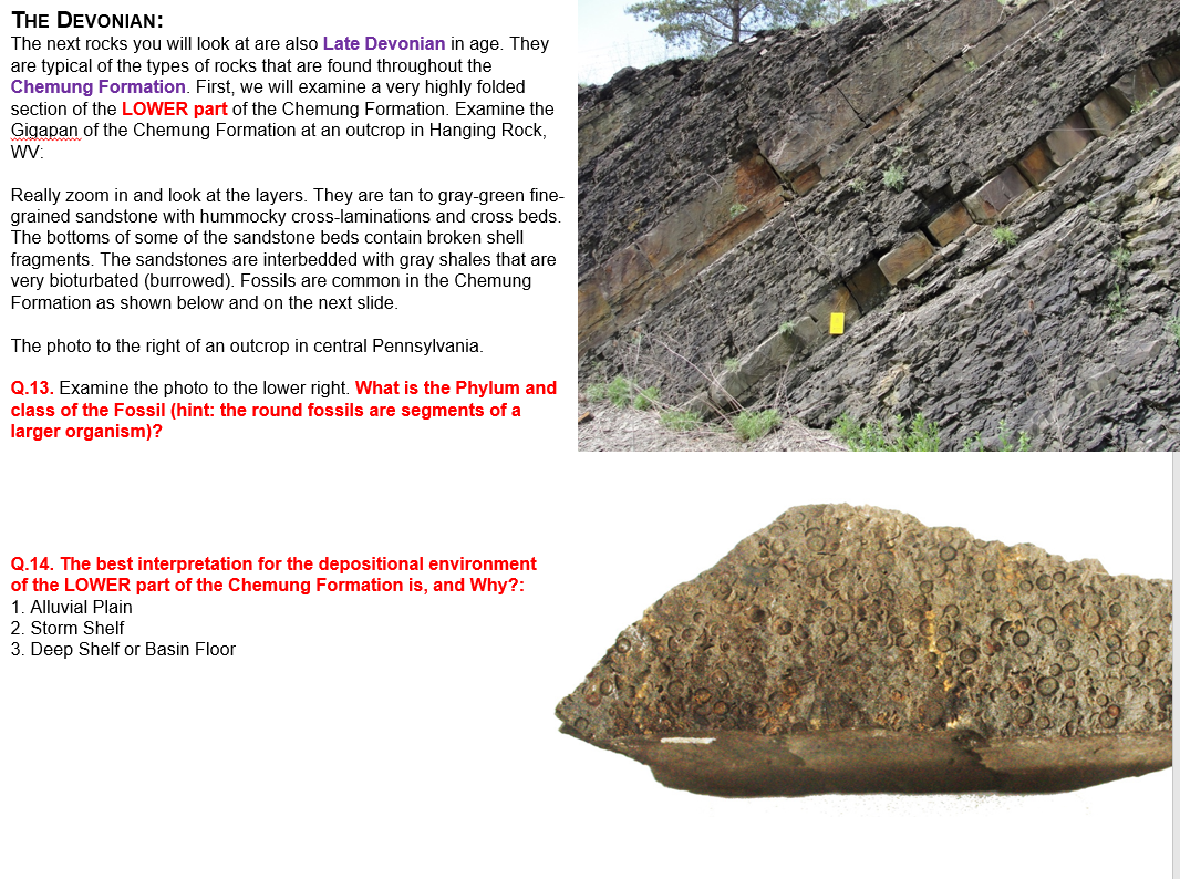 Solved THE DEVONIAN: The next rocks you will look at are | Chegg.com