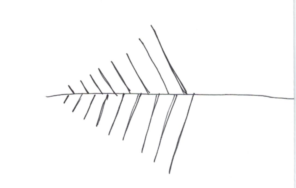 Solved The following diagram represents one of the christmas | Chegg.com