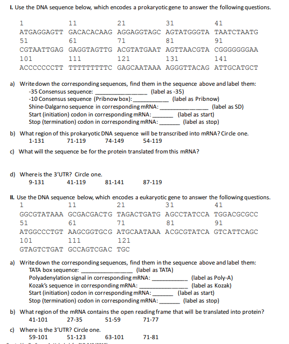 Solved 1. Use the DNA sequence below, which encodes a | Chegg.com