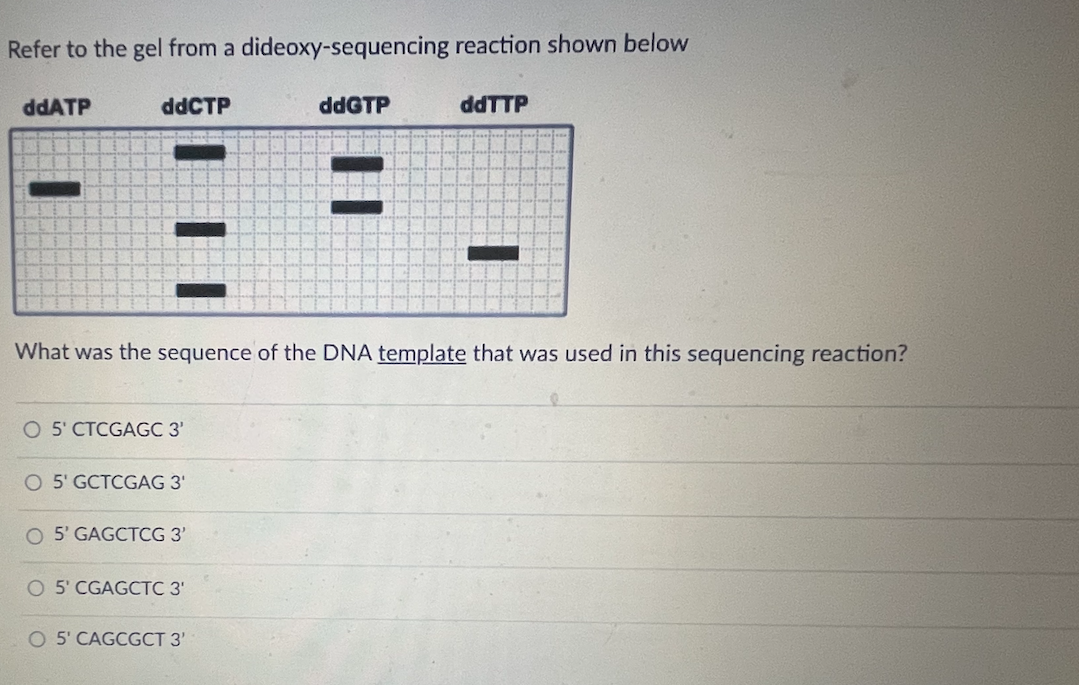 Solved Refer to the gel from a dideoxy-sequencing reaction | Chegg.com