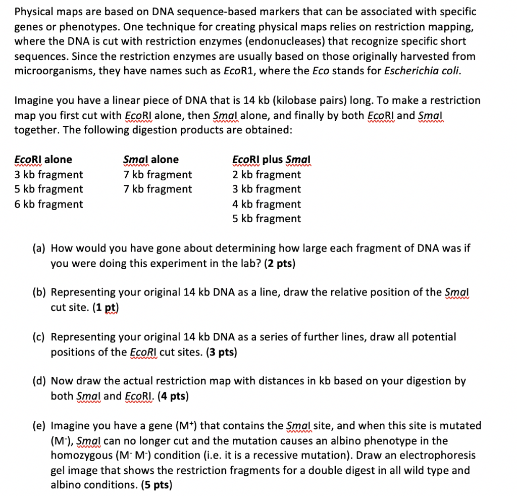 Solved Physical maps are based on DNA sequence-based markers | Chegg.com