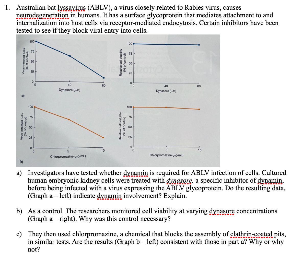 Solved Australian bat lyssavirus (ABLV), a virus closely | Chegg.com