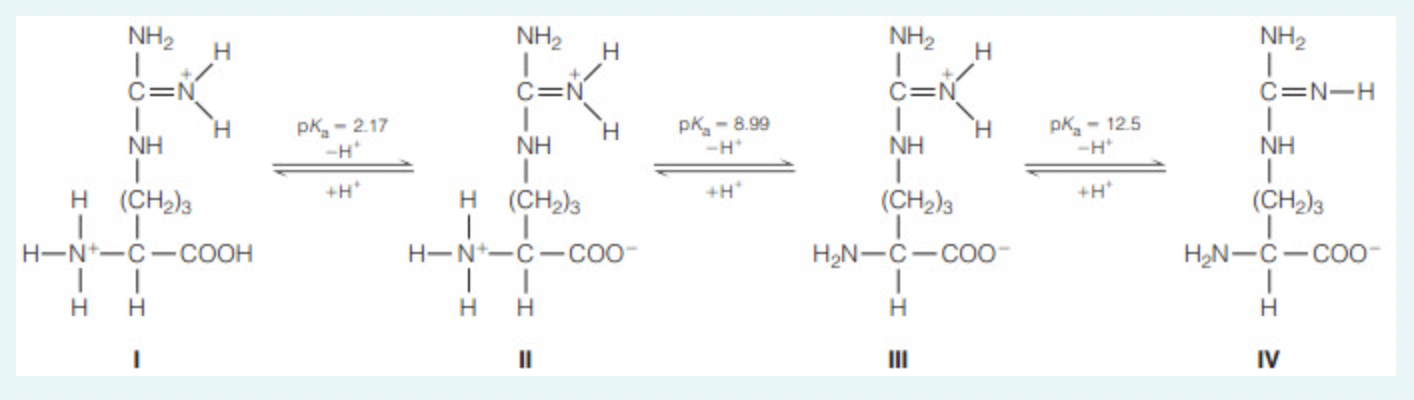 Solved Calculate the average charge on arginine when | Chegg.com