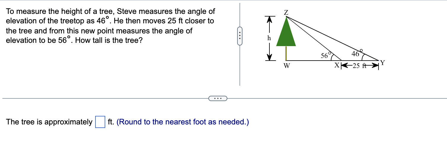 Solved To measure the height of a tree, Steve measures the | Chegg.com