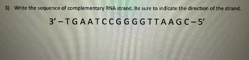 Solved 3) Write the sequence of complementary RNA strand. Be | Chegg.com