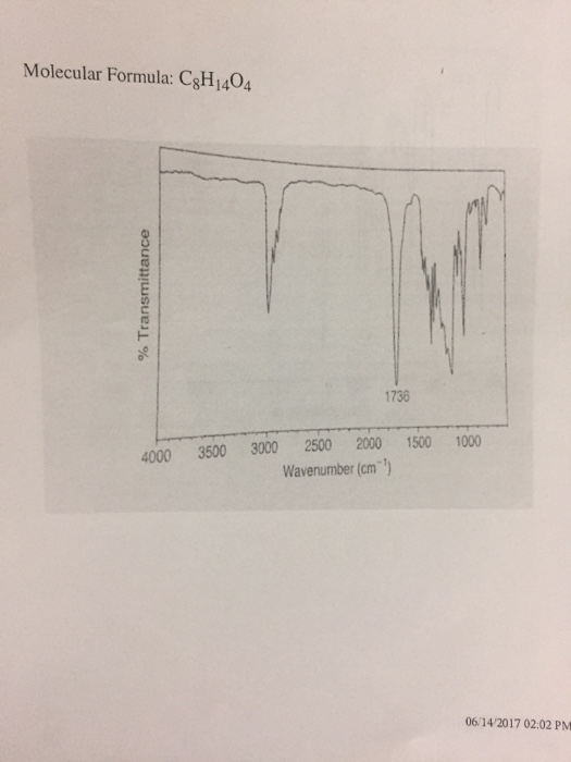 Solved Molecular Formula: C8H1404 1736 4000 3500 3000 2500 | Chegg.com