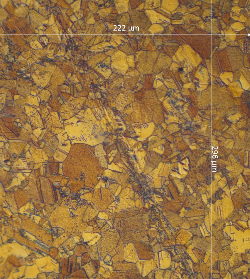 The image shows a 400x magnified microscopy image of | Chegg.com