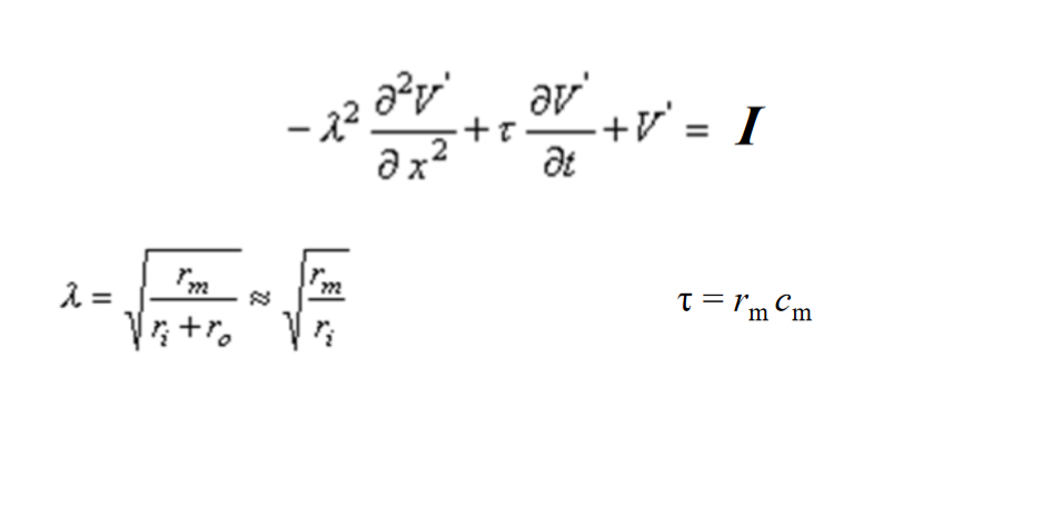 Solved In the cable equation, what are the meaning of | Chegg.com