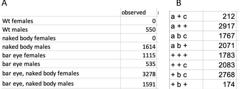 Solved Using The Data Set Provided Please Answer The 9070