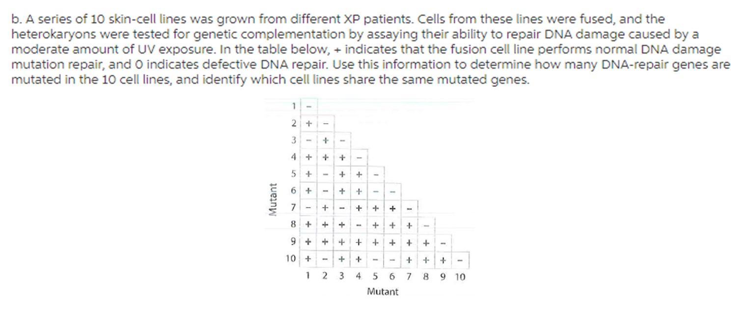 Solved b. A series of 10 skin-cell lines was grown from | Chegg.com