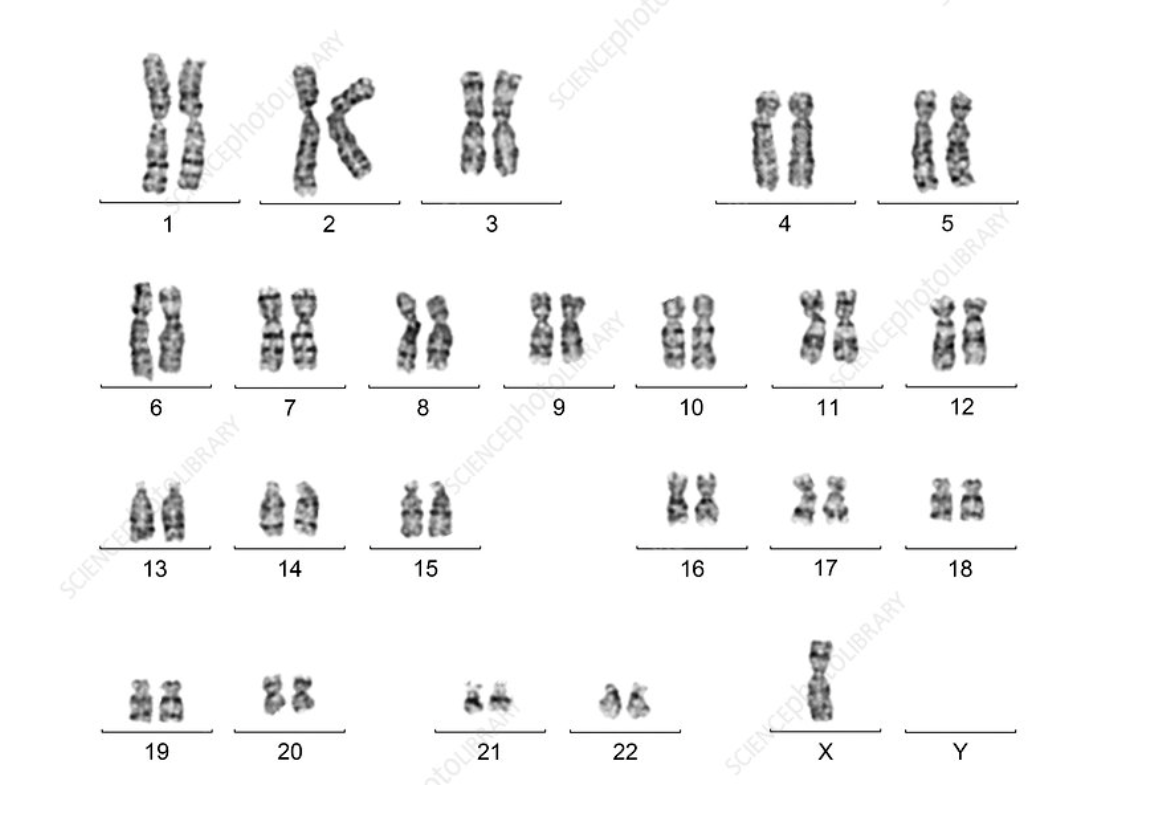 Solved W 10 暗 영 m38m883B÷n48n1 | Chegg.com