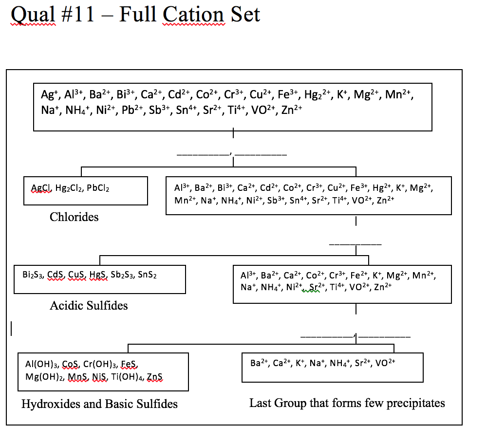 Solved Qual #11-Full Cation Set Ag+, Al3+, Вай, Віз+, Ca2+, | Chegg.com