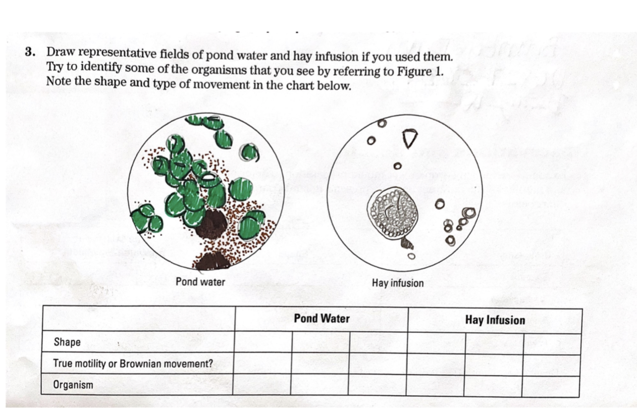 3. Draw representative fields of pond water and hay | Chegg.com