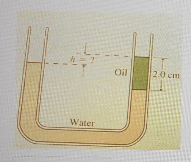 Solved As shown in the figure, A U tube open at both ends | Chegg.com