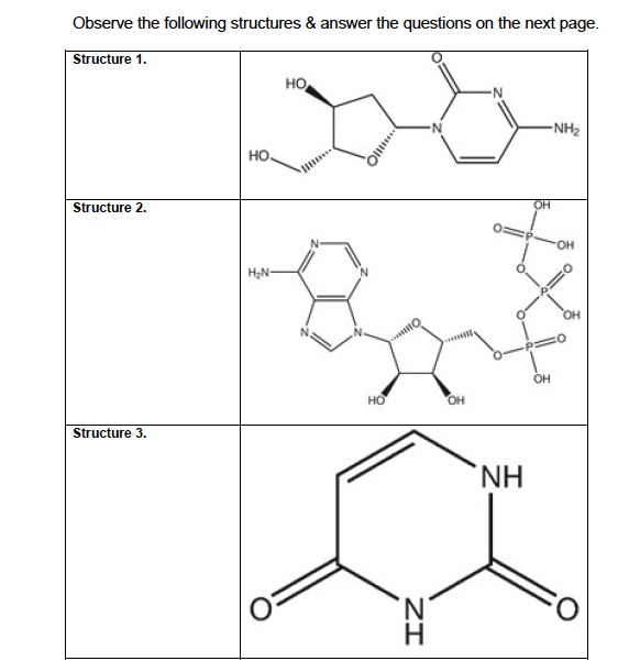 Solved 1. Identify any nucleoside structures present. 2. | Chegg.com