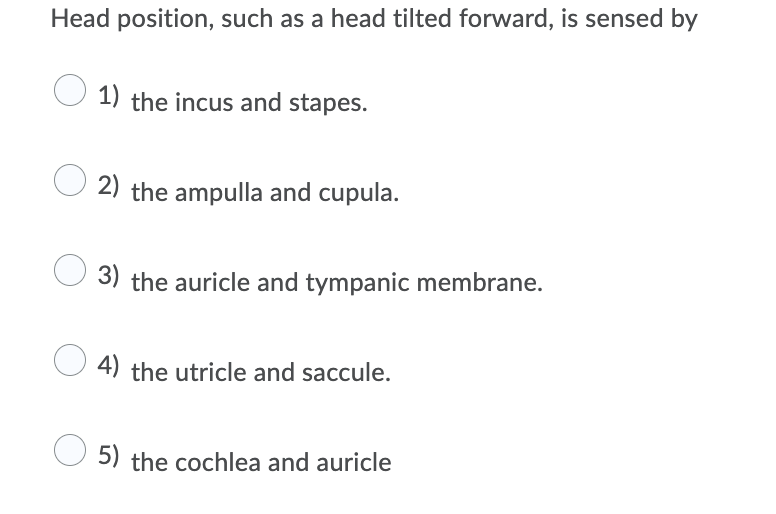 Solved Head position, such as a head tilted forward, is | Chegg.com