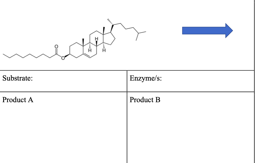Solved Recognize the substrates shown in the pictures and | Chegg.com
