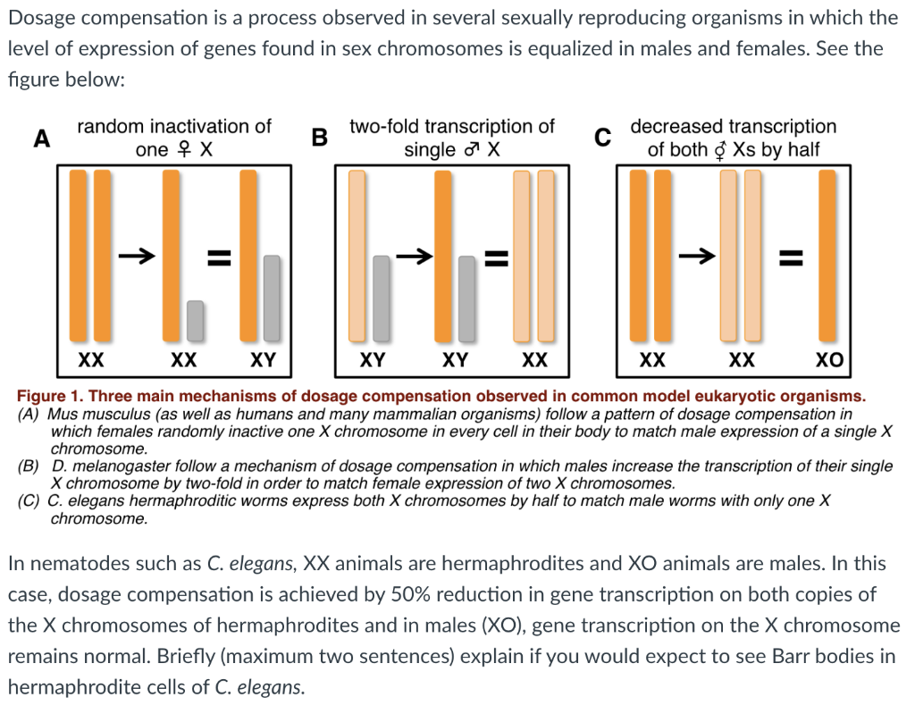 Solved Dosage compensation is a process observed in several | Chegg.com