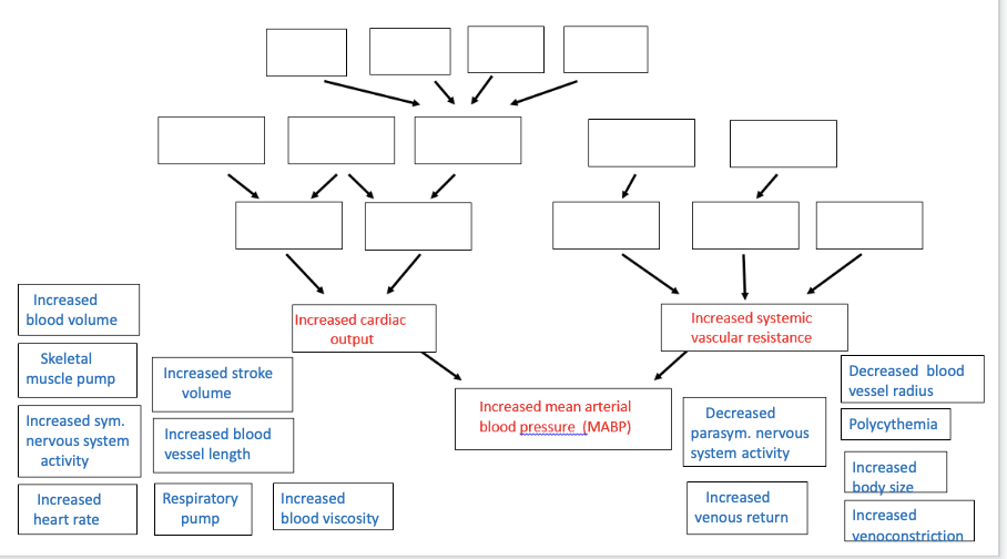 Solved This activity involves a concept map on factors | Chegg.com