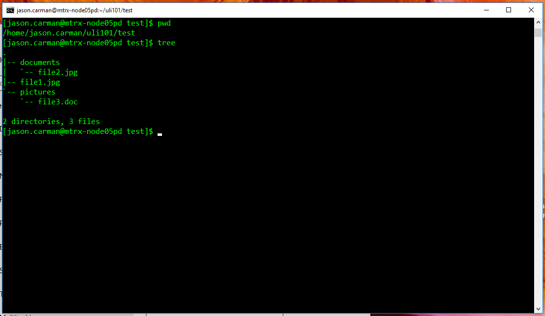 Solved Given the sample directory structure below noting | Chegg.com