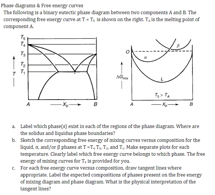 Solved Phase diagrams & Free energy curves The following is | Chegg.com