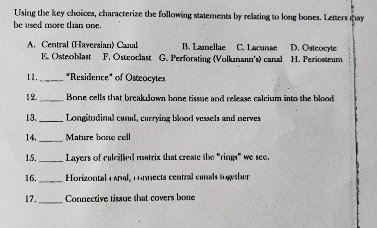 Solved Using the key choices, characterize the following | Chegg.com