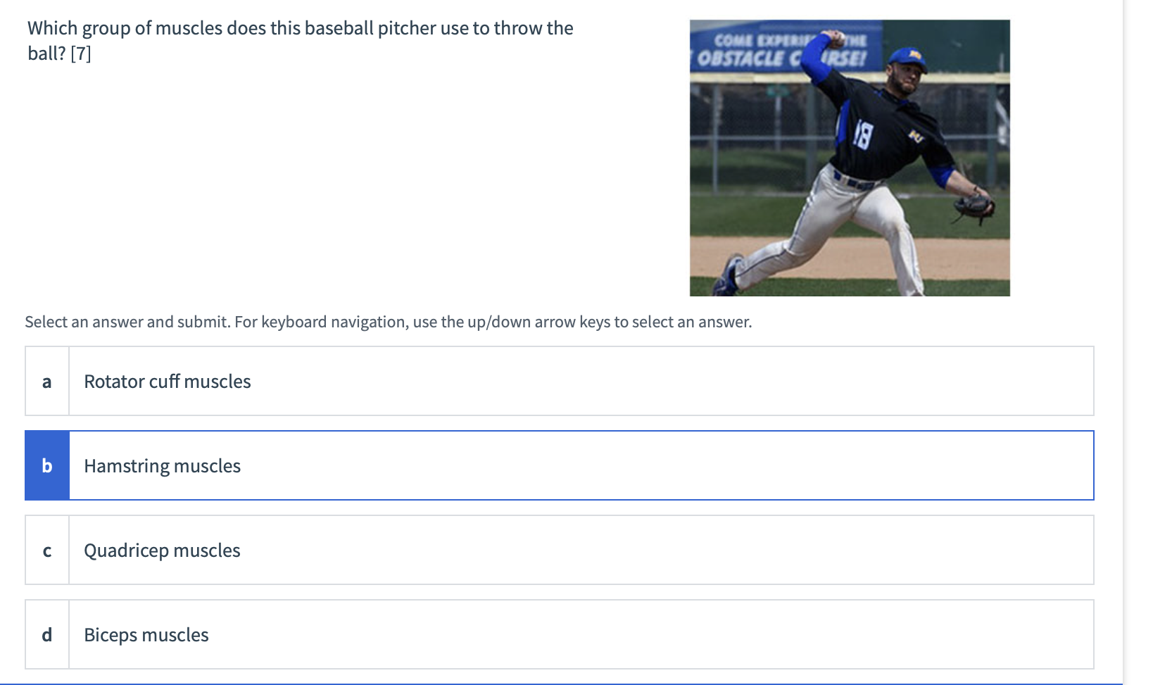 Solved Which group of muscles does this baseball pitcher use | Chegg.com