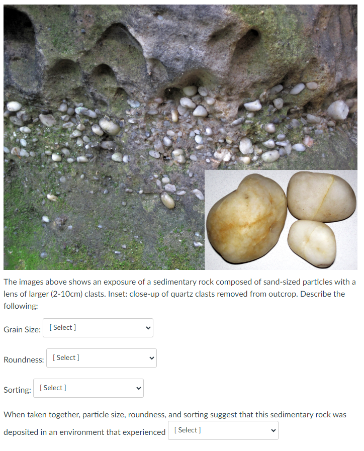 Solved The images above shows an exposure of a sedimentary | Chegg.com