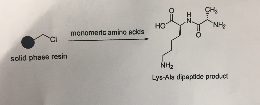 Solved How would solid phase peptide synthesis be used to | Chegg.com