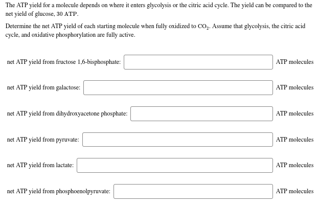 Solved The ATP yield for a molecule depends on where it | Chegg.com