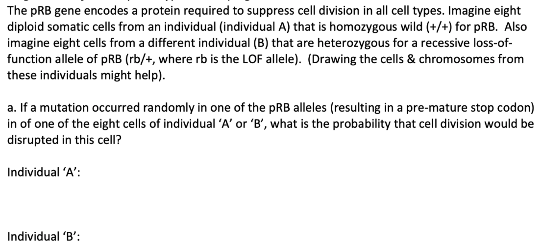 Solved The PRB gene encodes a protein required to suppress | Chegg.com