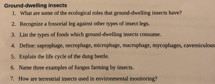 Ground-dwelling insects 1. What are some of the | Chegg.com
