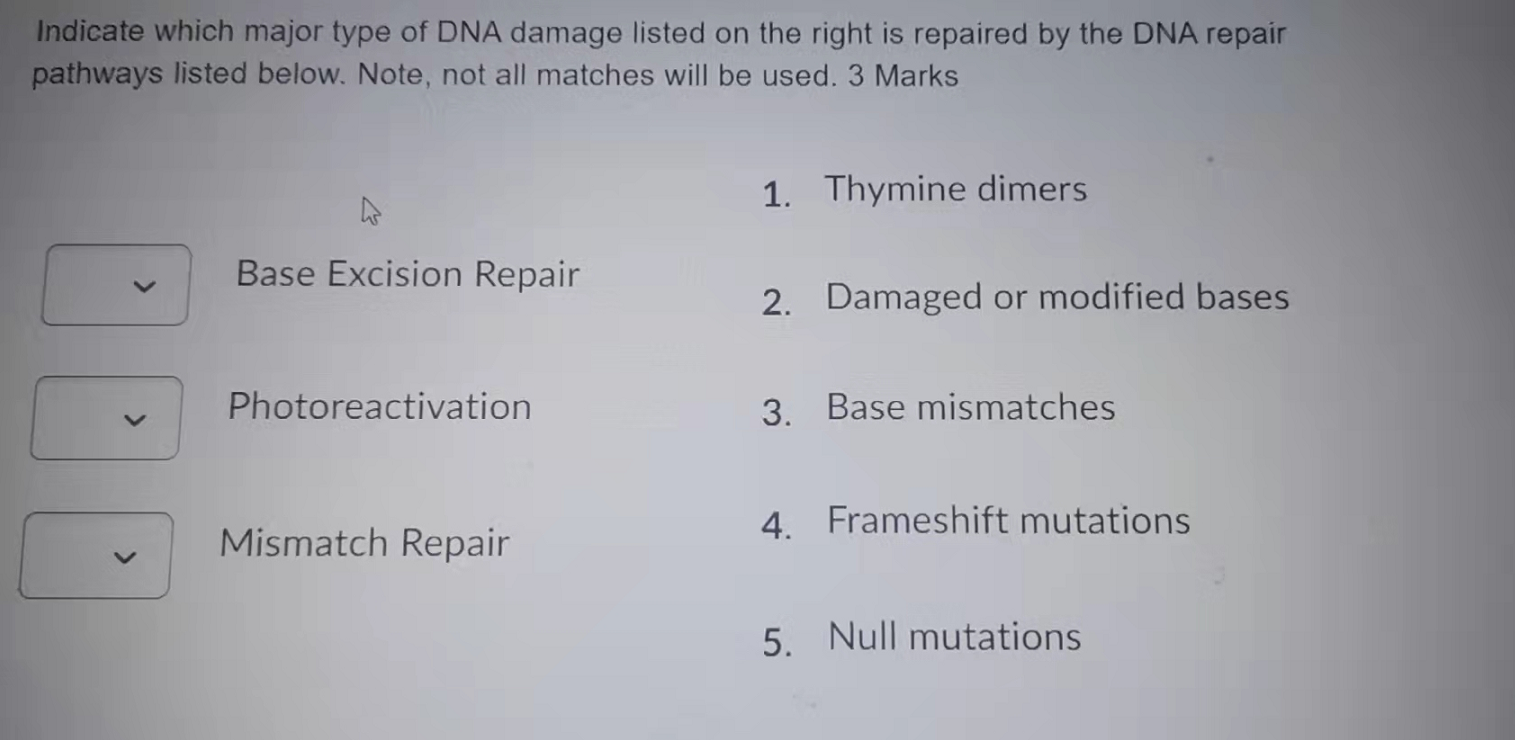 Solved The left hand column indicates the genotypes of five | Chegg.com
