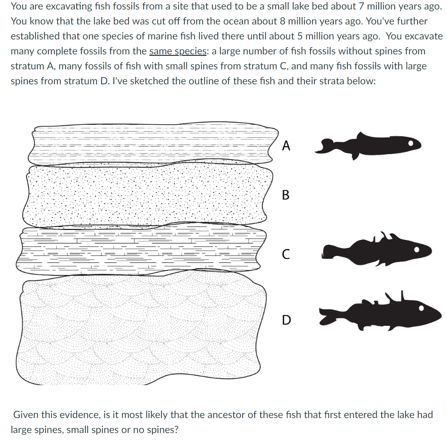 Solved You are excavating fish fossils from a site that used | Chegg.com
