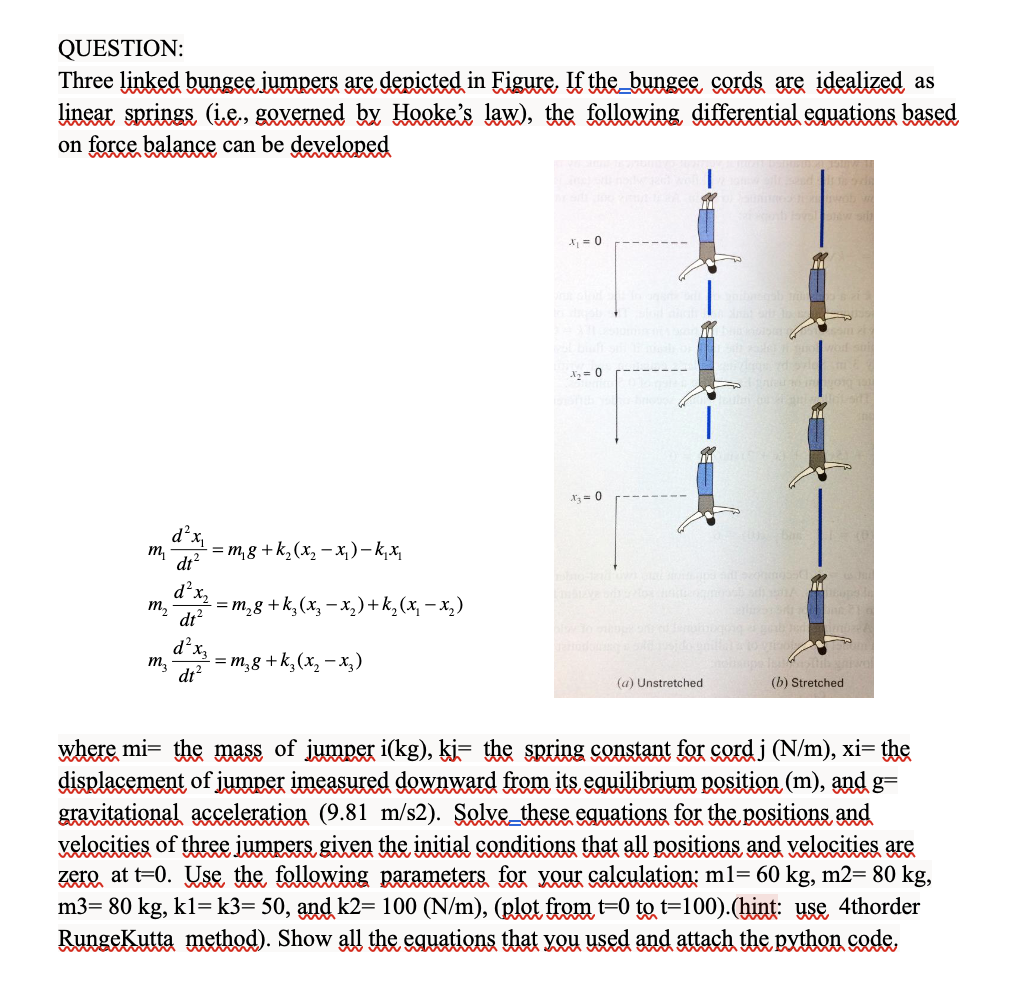 Solved QUESTION: Three linked bungee jumpers are depicted in | Chegg.com