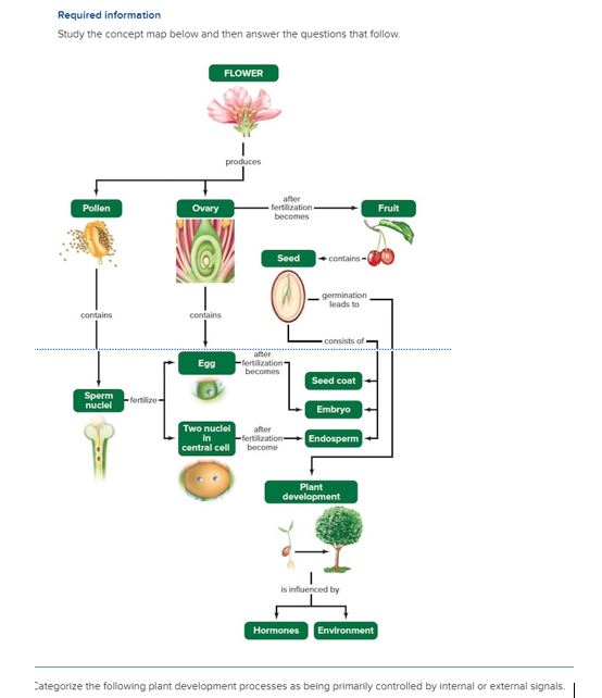 Solved Required information Study the concept map below and | Chegg.com