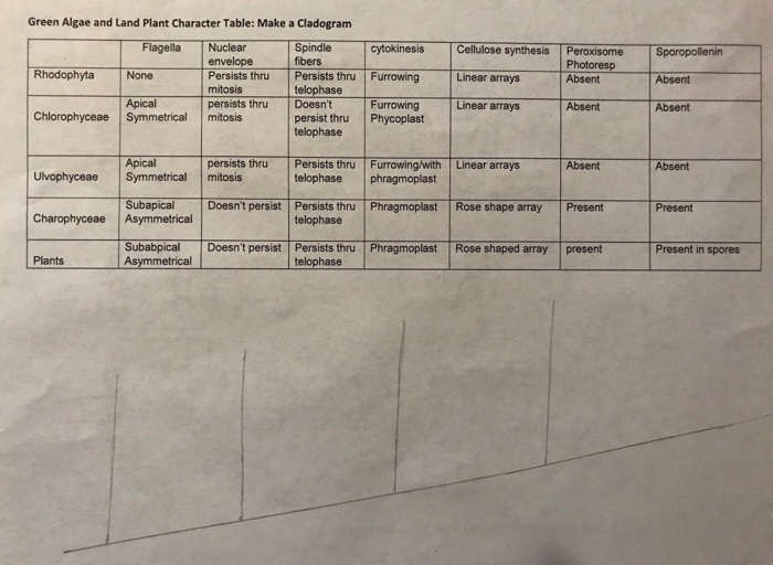 Solved Green Algae and Land Plant Character Table: Make a | Chegg.com