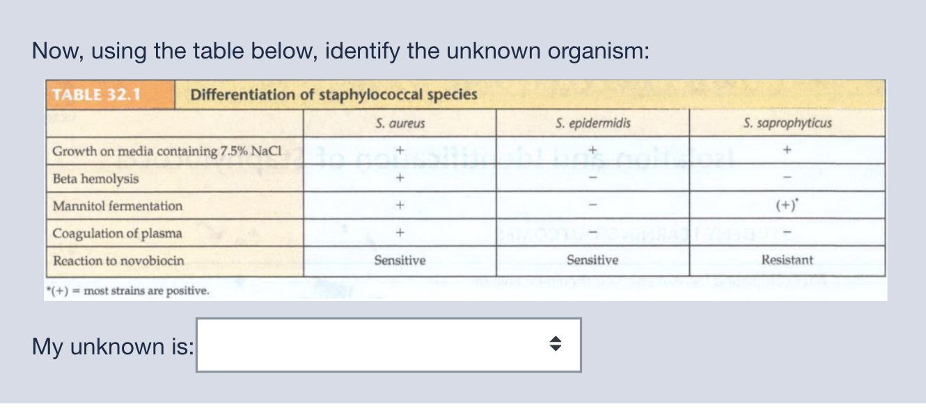 Solved MSA plate MH with novobiocin Streak on BHI Sheep's | Chegg.com