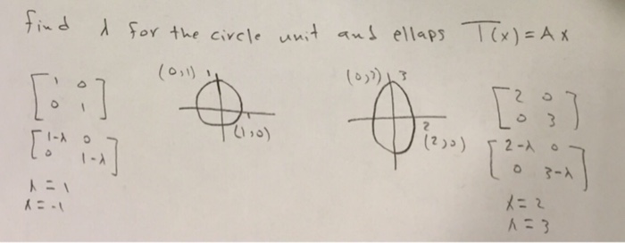 Solved Find lambda for the circle unit and ellaps T (x) = Ax | Chegg.com