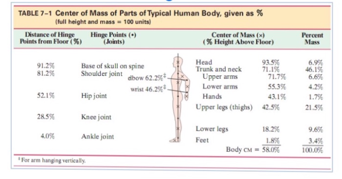Solved Assume that the proportions of a 81-kg person are the | Chegg.com