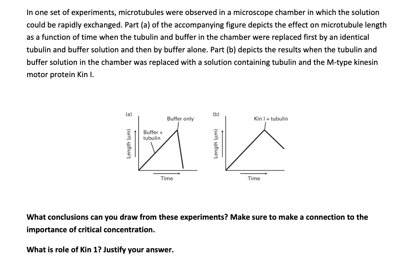 Solved In one set of experiments, microtubules were observed | Chegg.com