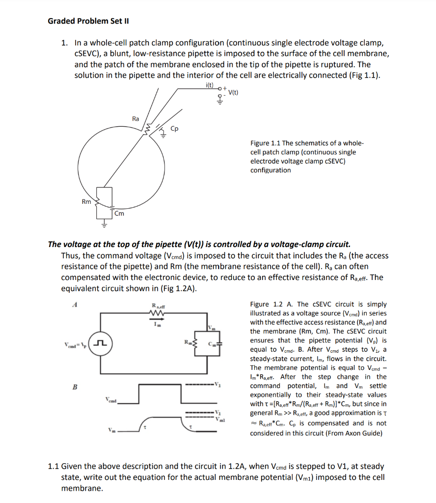 1. In a whole-cell patch clamp configuration | Chegg.com