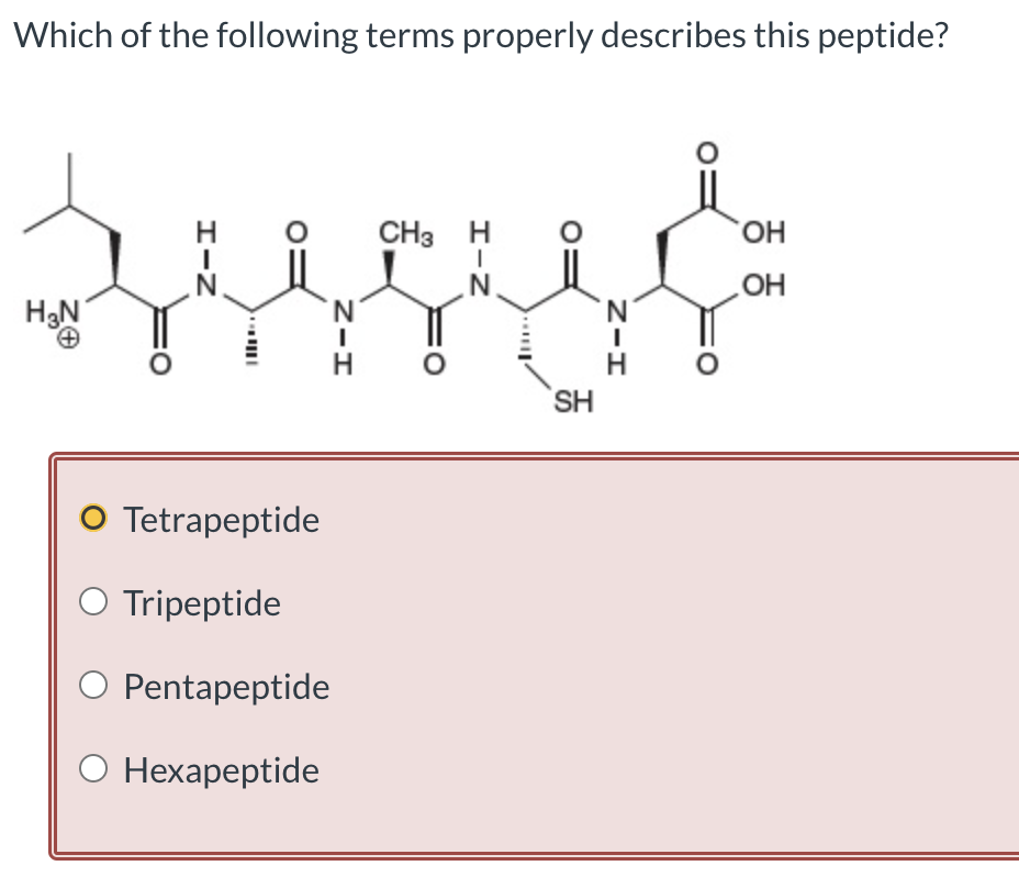 Solved Which of the following terms properly describes this | Chegg.com