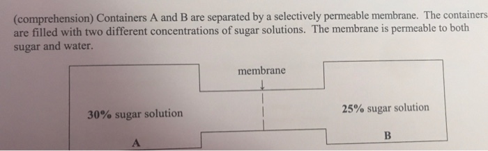 Solved (comprehension) Containers A and B are separated by a | Chegg.com