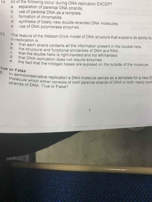 Solved All of the following occur during DNA replication | Chegg.com