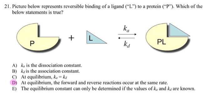 Solved 21. Picture below represents reversible binding of a | Chegg.com