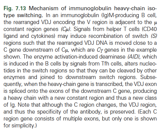 Solved Fig. 7.13 Mechanism of immunoglobulin heavy-chain | Chegg.com