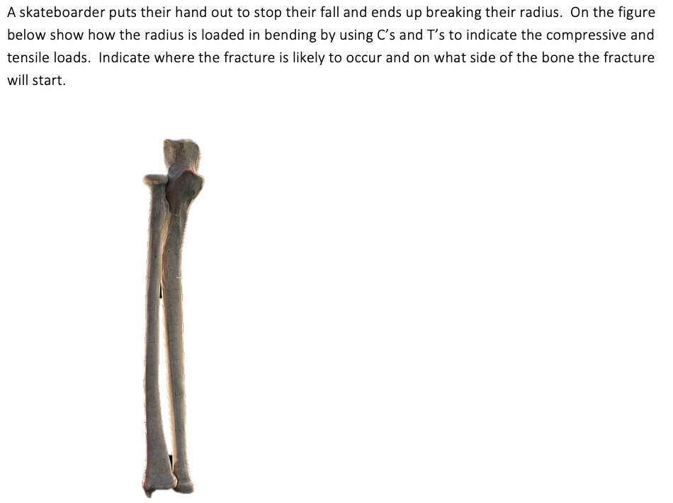 Solved 1. On the figure above show how the radius is | Chegg.com