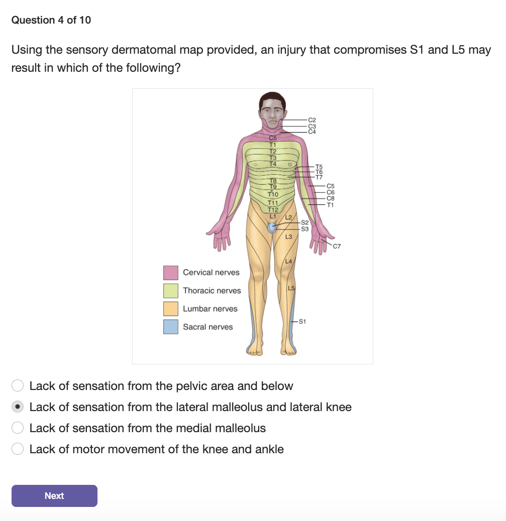 Solved Question 4 ﻿of 10Using the sensory dermatomal map | Chegg.com